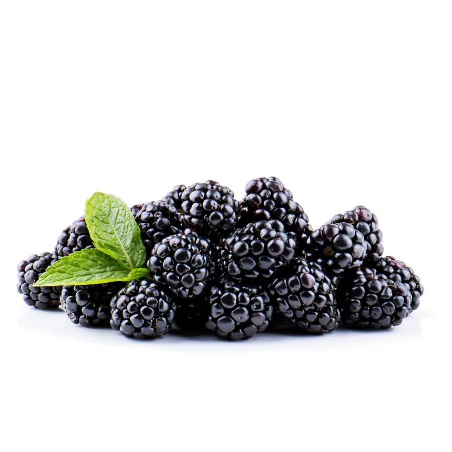 Kupina Tri Krune – Rasadnik Agro Bole